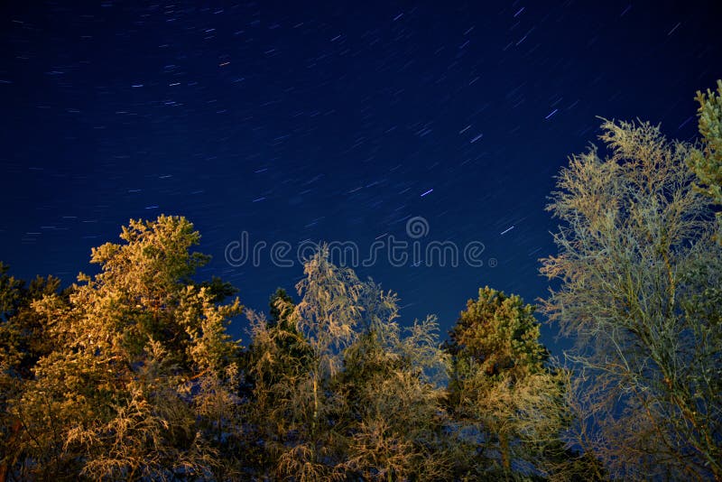 Winter starry nightscape stock image. Image of night - 39636641