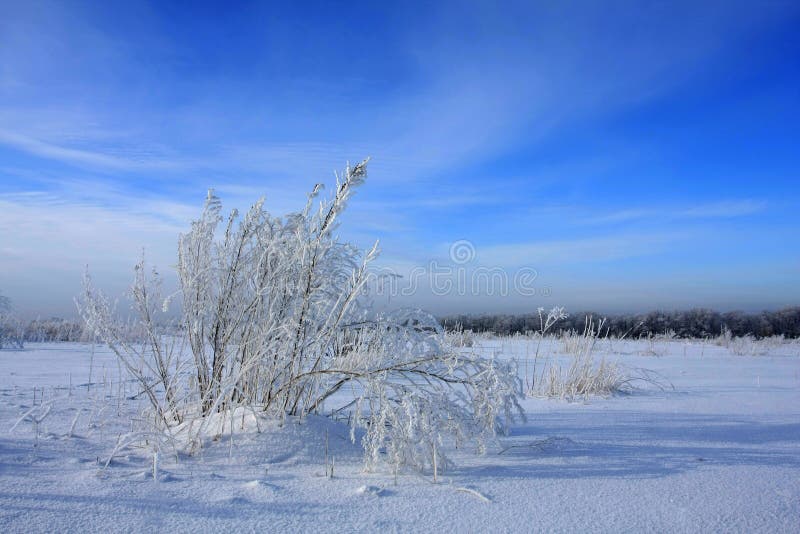 Winter in steppe stock image. Image of nice, landscape - 7672923