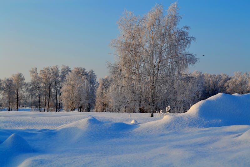 Steppes Winter Kazakhstan Kapchagai Stock Image - Image of green, land ...