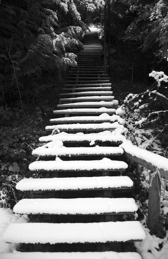 Winter stairway stock image. Image of nature, descend, freeze - 549507