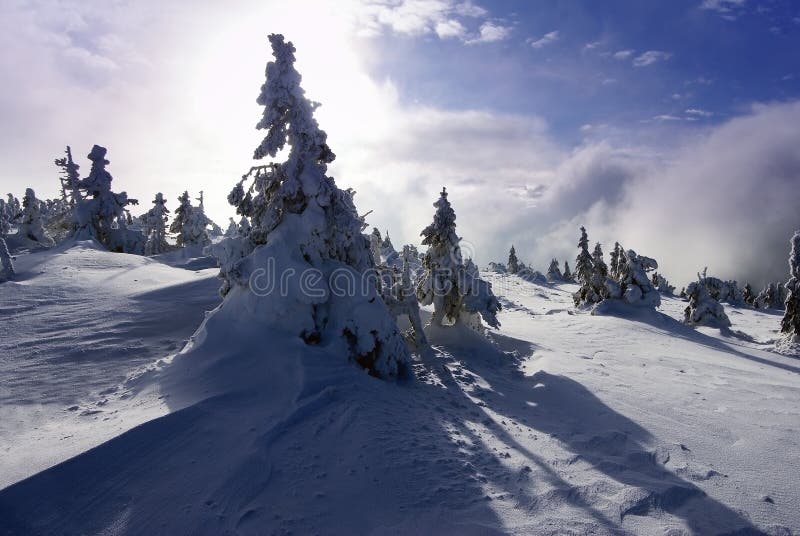 Winter still-life stock image. Image of january, hill - 22880713