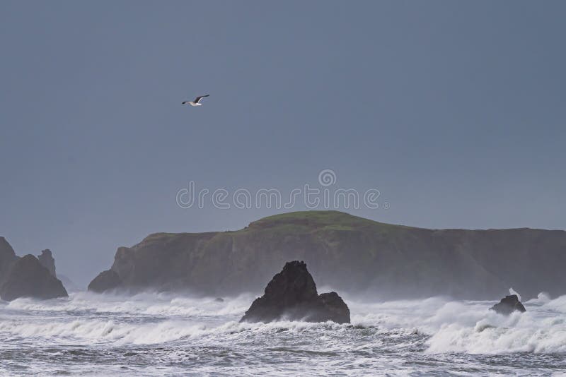 Winter Storm at the Oregon Coast. Stock Image - Image of heavy, beach ...