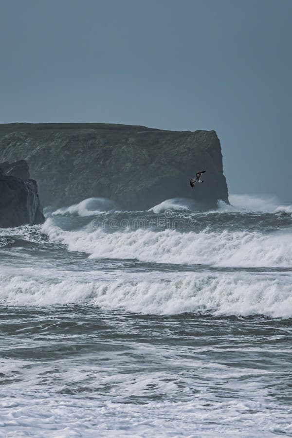 Winter Storm at the Oregon Coast. Stock Photo - Image of crashing ...