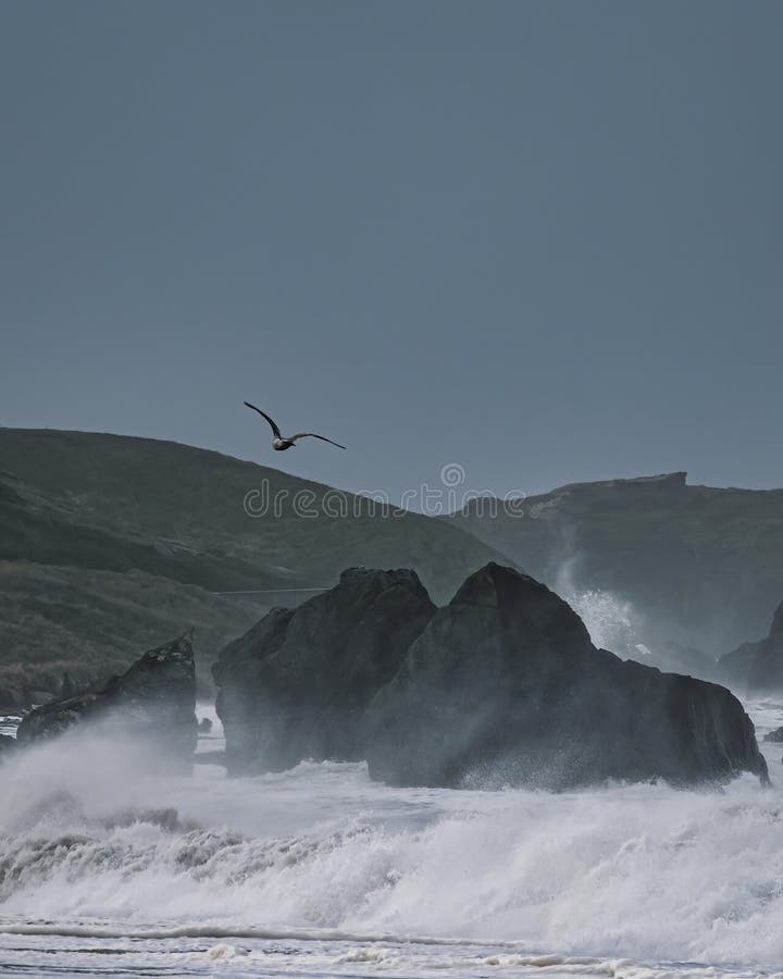 Winter Storm at the Oregon Coast. Vertical Image. Stock Image - Image ...