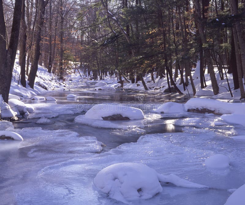 Winter stream stock photo. Image of cold, trees, forest - 11206036
