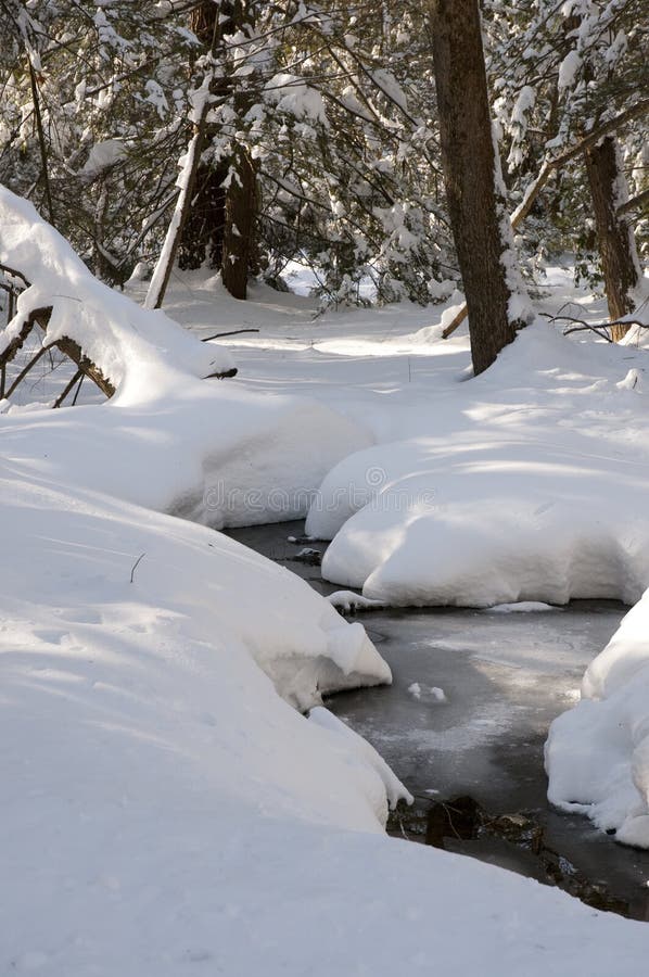Winter Stream stock photo. Image of woods, stream, winter - 14868878