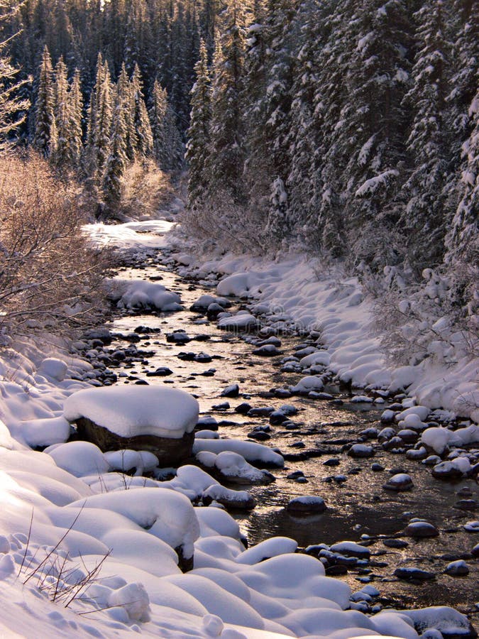 Winter Stream stock photo. Image of water, snowfall, chill - 417458