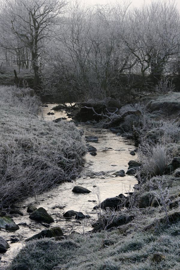 Winter stream stock photo. Image of frost, outdoor, cold - 4354532