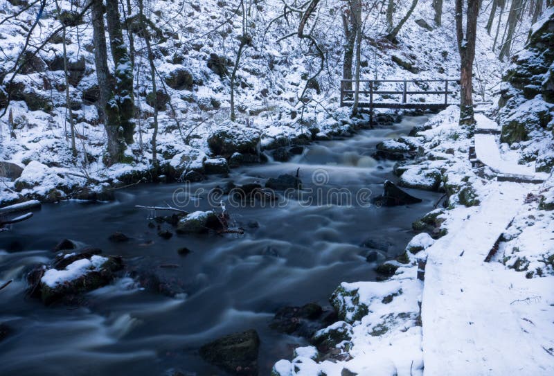 Winter Scene with Stream stock photo. Image of forest - 3876400