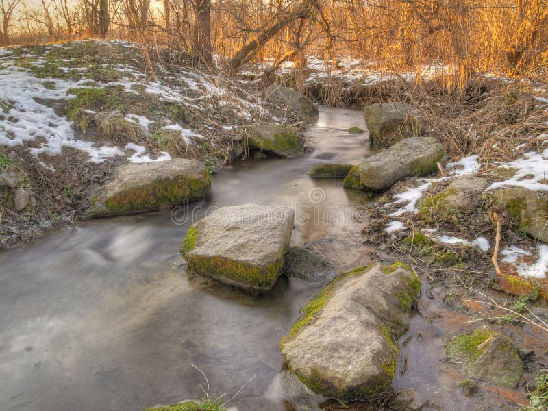 Winter Stream in the Forest Stock Image - Image of mountain, tranquil ...