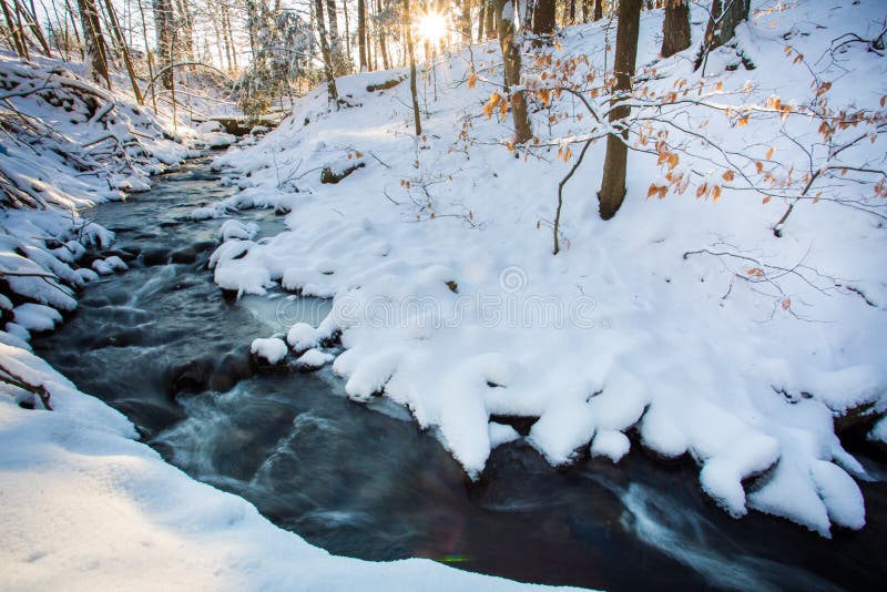 Winter Stream in Forest Morning Sunrise Stock Image - Image of light ...