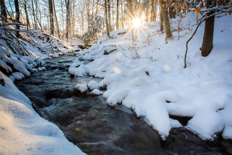 Winter Stream in Forest Morning Sunrise Stock Image - Image of peaceful ...