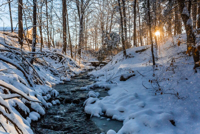 Winter Stream in Forest Morning Sunrise Stock Photo - Image of frozen ...