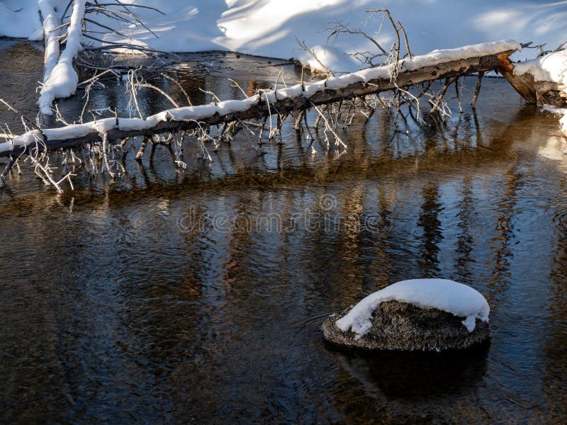 Winter Stream with Snow Cover Rock and Tree Stock Photo - Image of ...