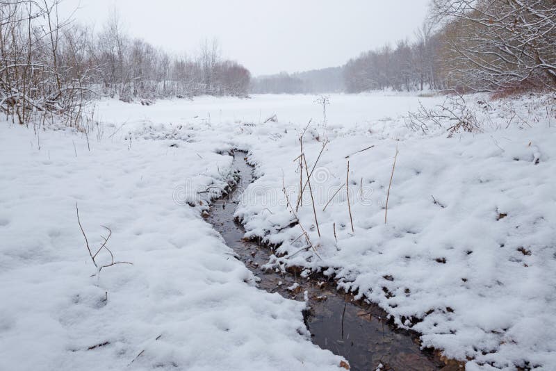 Winter Stream on a Snowy Landscape in the Forest Stock Image - Image of ...
