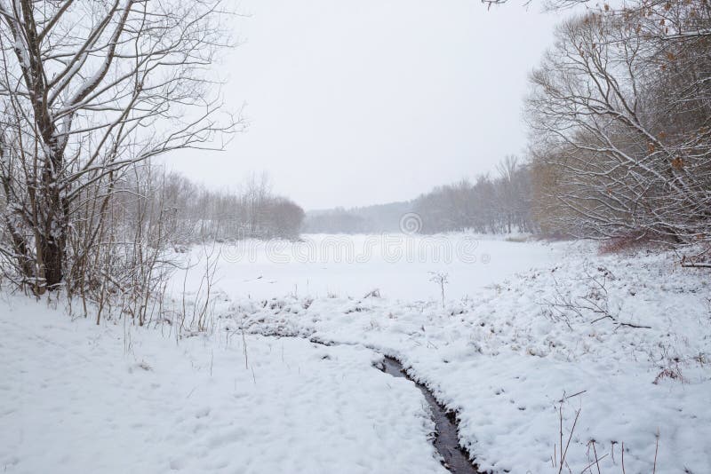 Winter Stream on a Snowy Landscape in the Forest Stock Image - Image of ...
