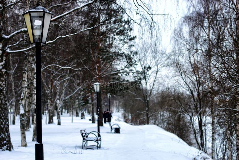 Group street walk winter stock image. Image of action - 107314389