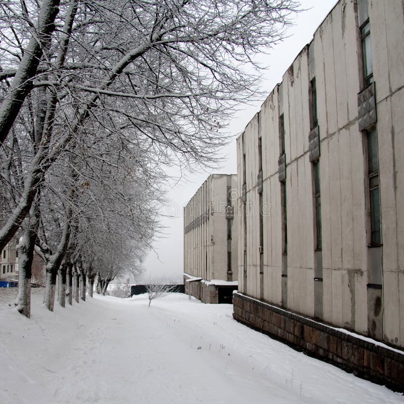 Winter Street with Lots of Snow Stock Image - Image of snowstorm ...