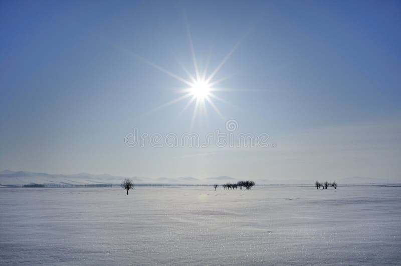 Winter sun stock photo. Image of outdoor, dazzling, temperature - 12632382