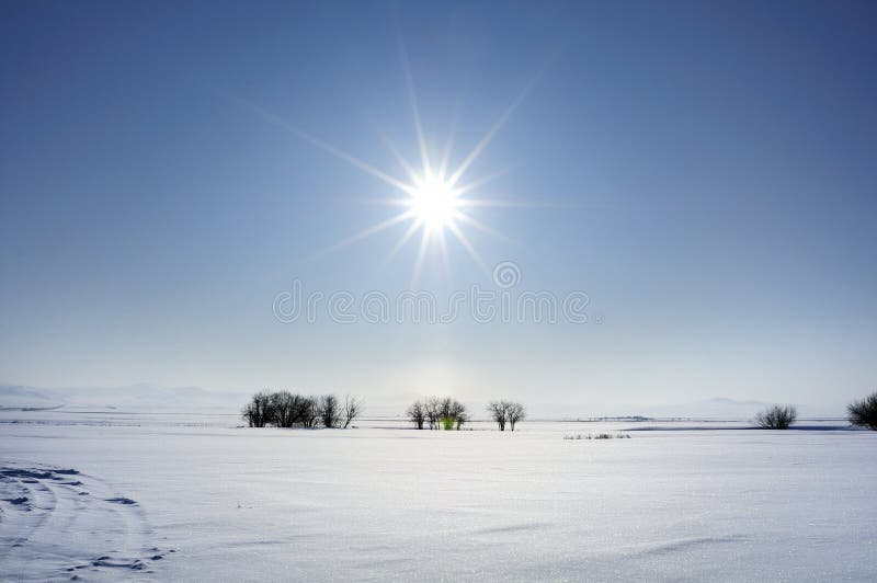 Winter sun stock photo. Image of outdoor, blue, fields - 13072484