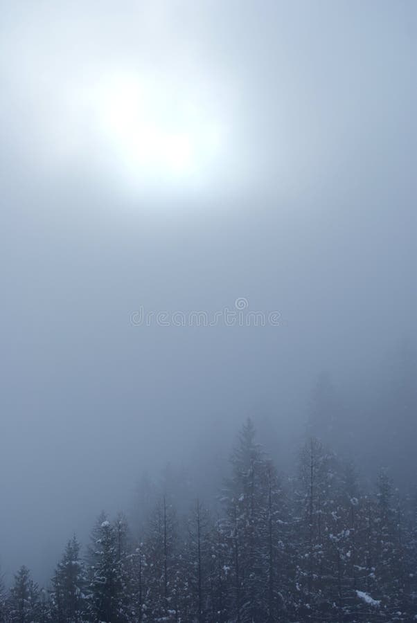 Winter Sun stock photo. Image of catching, colourful - 13506746