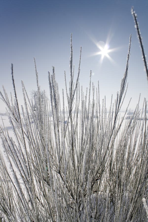 Winter sun stock image. Image of majestic, landscape - 21540443