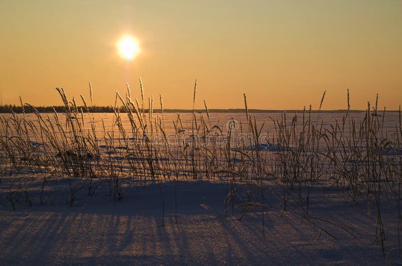 Winter sun stock image. Image of winter, nature, light - 28120577