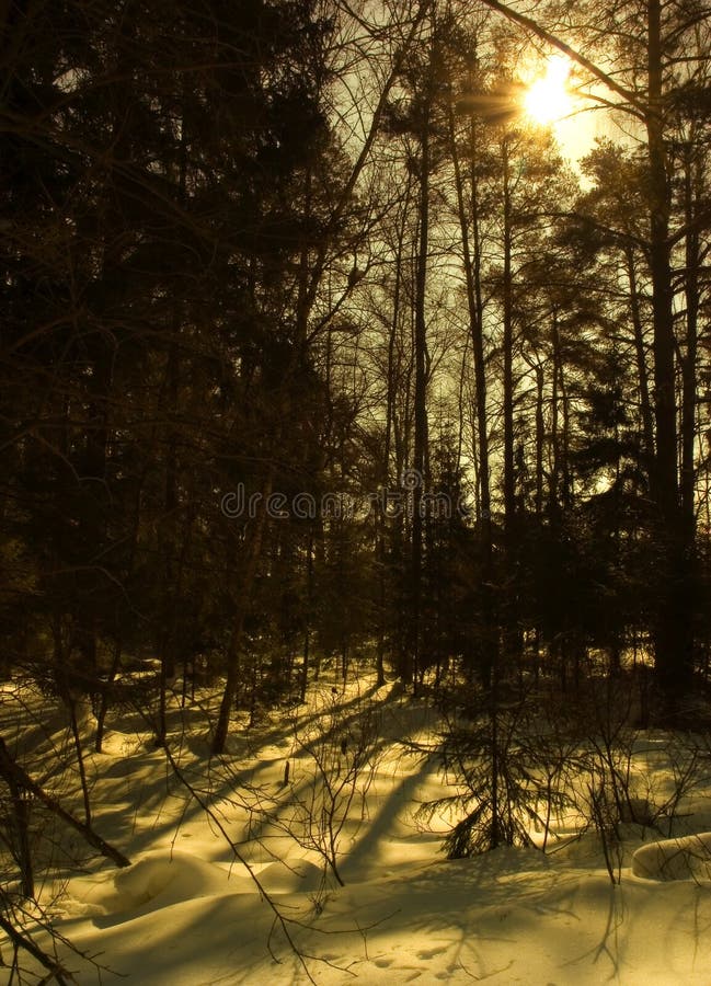 Winter sun stock photo. Image of cloud, hill, folds, landscape - 3450072