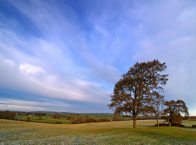 Winter Sun stock photo. Image of weather, nature, land - 599796