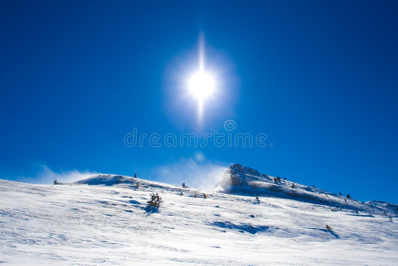 Winter sun stock photo. Image of snow, snowy, wild, season - 7080756