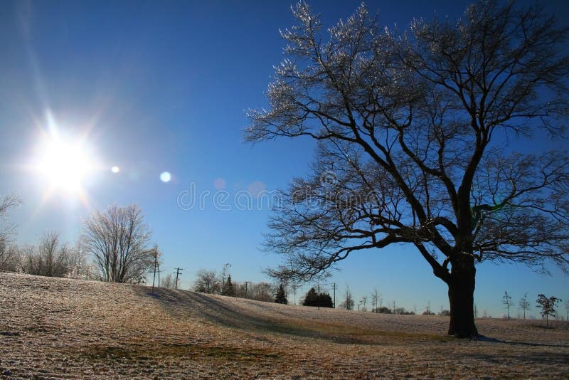 Winter Sun Set stock image. Image of sunset, landscape - 7925389