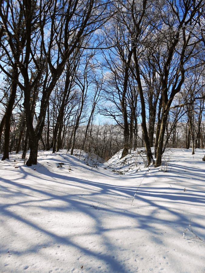 Winter stock image. Image of pattern, cover, light, cold - 84981205
