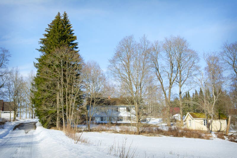 On a Winter Sunny Day, Old Tree Branches, in the Sky Stock Photo ...