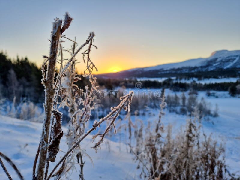 Winter sunrise in Norway stock image. Image of snow - 265674923
