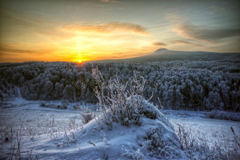 Sunrise in the Siberian Taiga Stock Image - Image of blue, landscapes ...
