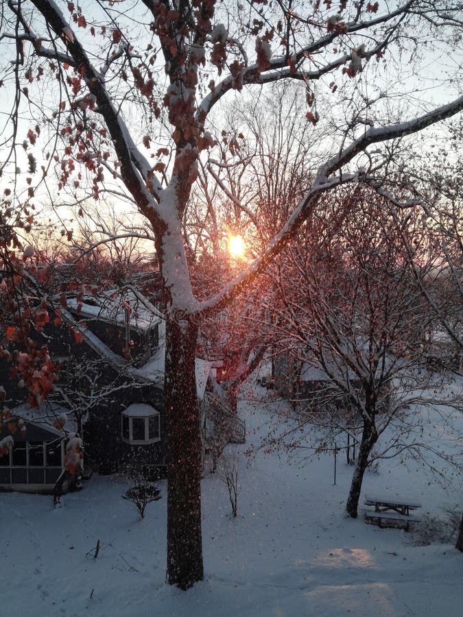 Winter Sunrise stock photo. Image of trees, tree, sunrise - 88280982