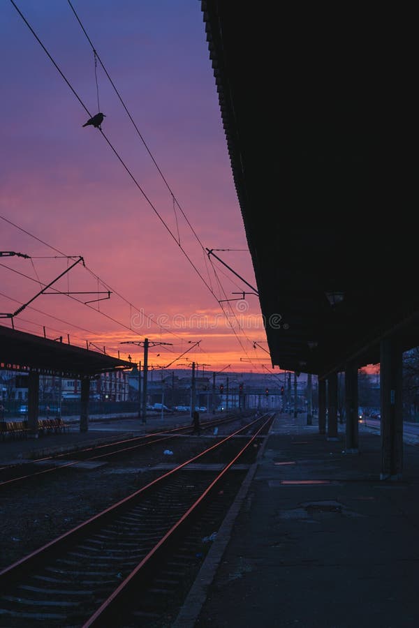 Winter Sunrise at the Train Station Stock Photo - Image of crow, cold ...