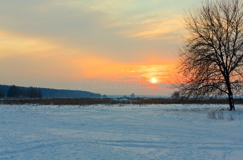 Winter sunset stock photo. Image of country, beauty, glow - 12916848