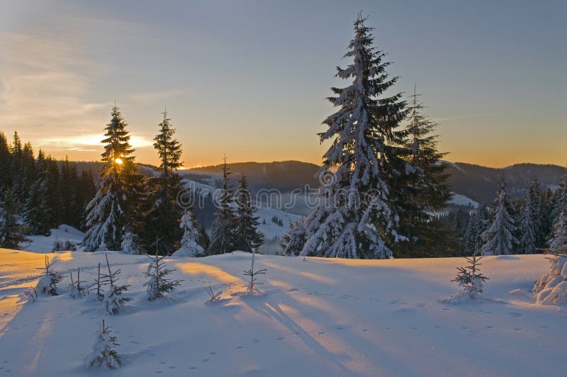 Winter Scene. Colorful Sunset Over Snow Covered Trees in an Idyllic ...