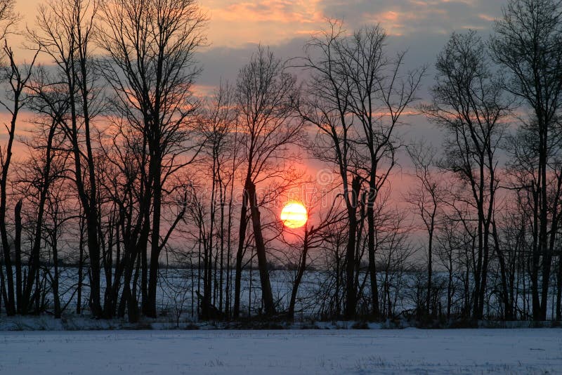Winter Sunset stock photo. Image of tree, rural, field - 3658244