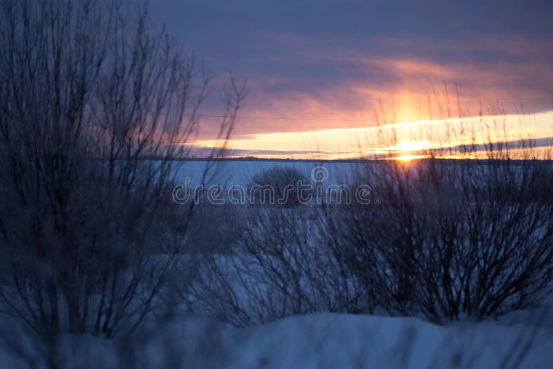Winter sunset stock image. Image of scene, tree, season - 88930655