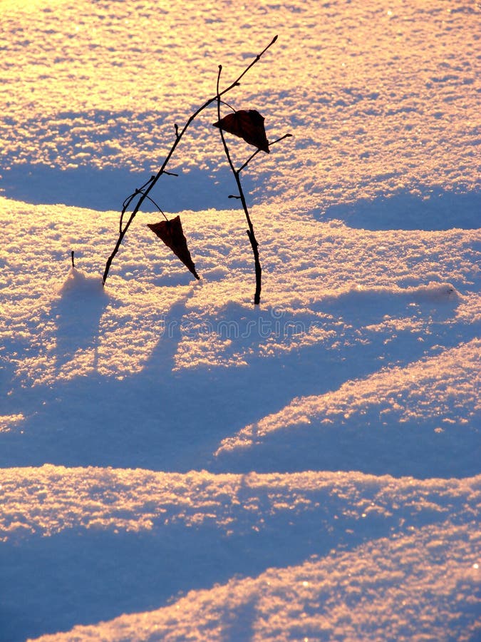 Winter sunset colors stock image. Image of frozen, surface - 12603969