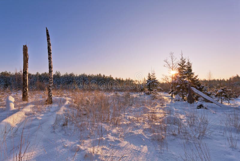 Winter sunset landscape stock photo. Image of natural - 131928376