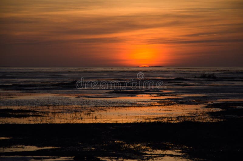 Winter Sunset on the Sea Shore Stock Image - Image of shore, swamp ...