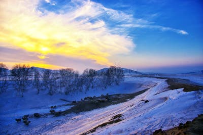 2,017 Silhouette Birch Tree Winter Stock Photos - Free & Royalty-Free ...