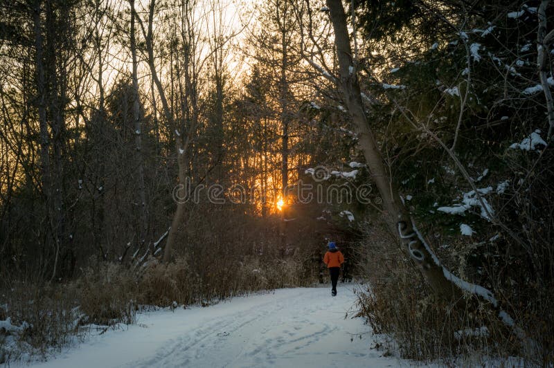 Winter Sunset in a Snow-covered Park, with Orange Sunlight Filtering ...