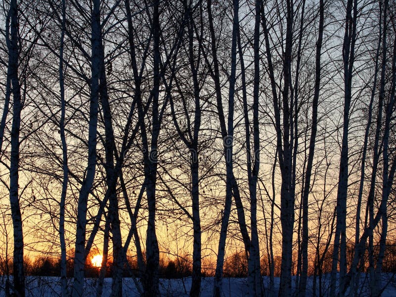 Winter sunset stock photo. Image of savouring, countryside - 112547070