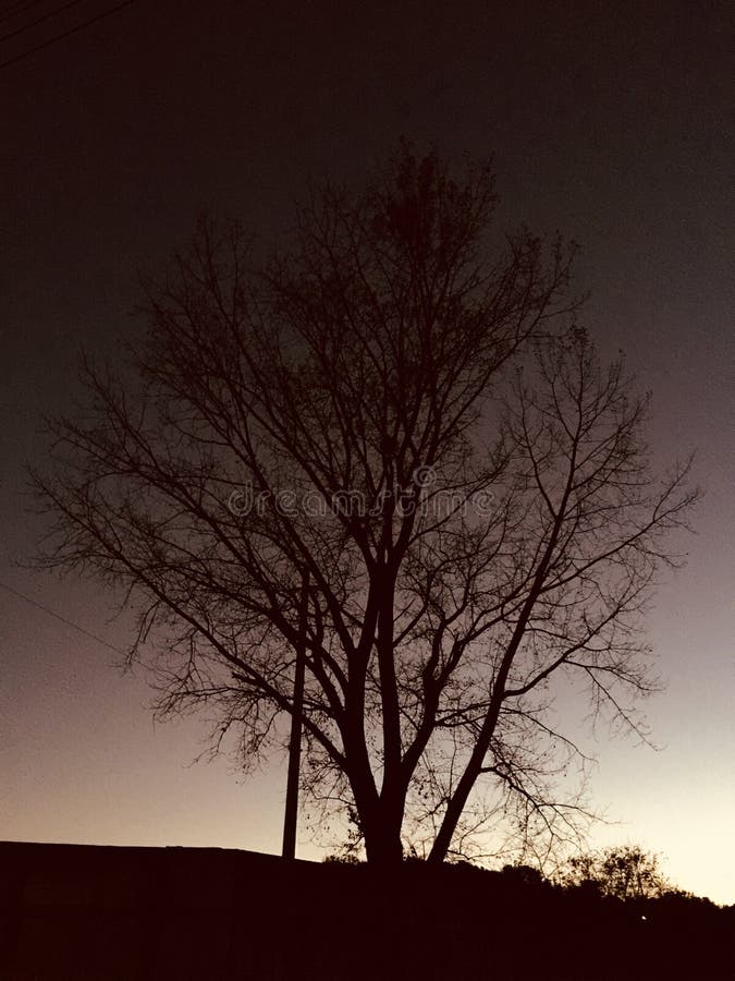 Winter Sunsets Leaves the Shadows Stock Photo - Image of sunsets, dark ...