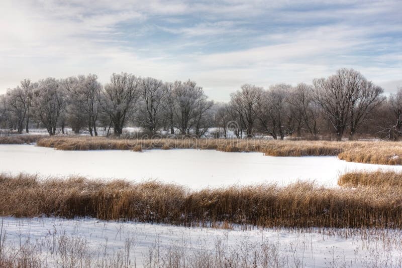 Winter landscape stock photo. Image of agriculture, canal - 17506014