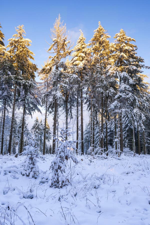 Winter in the Taunus Germany Stock Image - Image of blue, german: 262002995